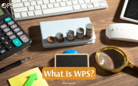 How Employers Can Register for WPS in the UAE via MOHRE?